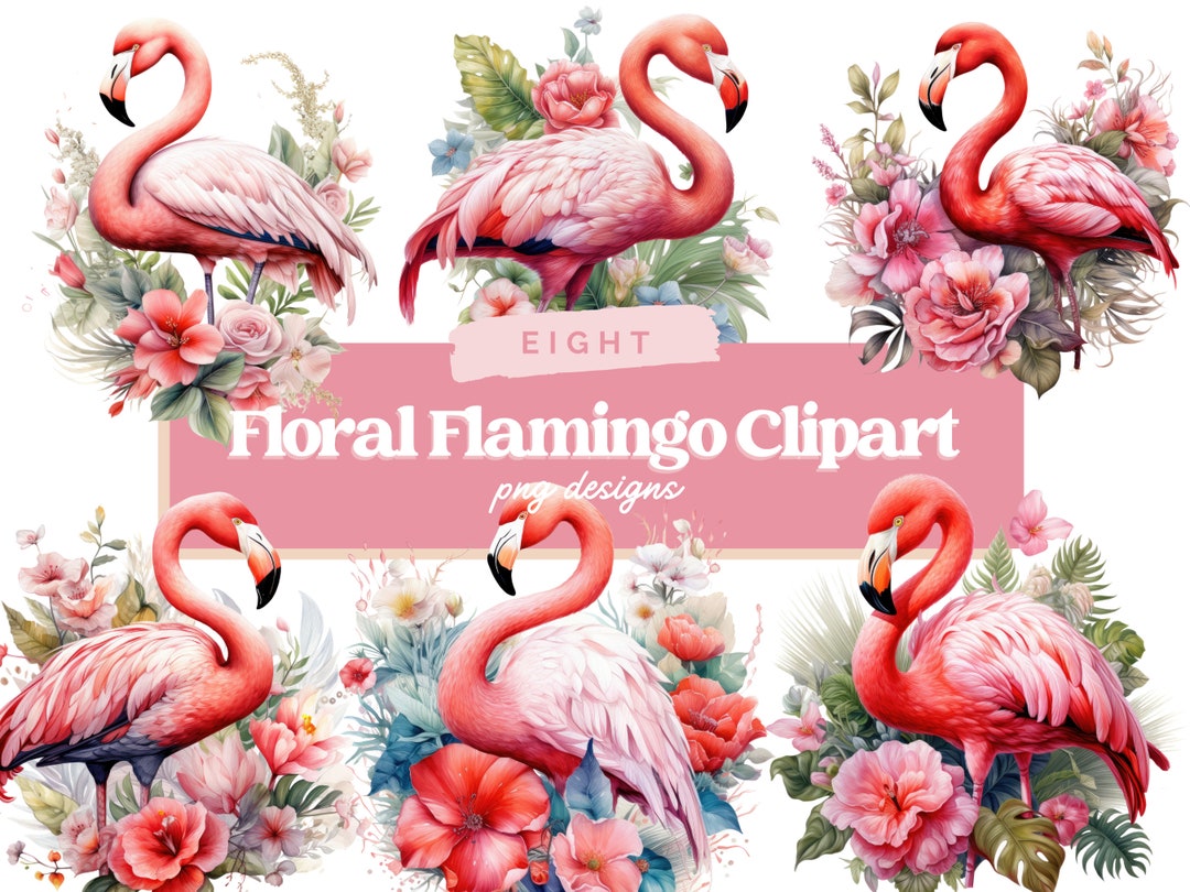 Flamingo Bird Watercolor Clipart, Flamingo Clipart PNG, Tropical Bird ...