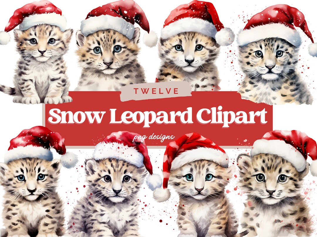 Watercolor Christmas Snow Leopard Clipart, Leopard PNG, Leopard ...