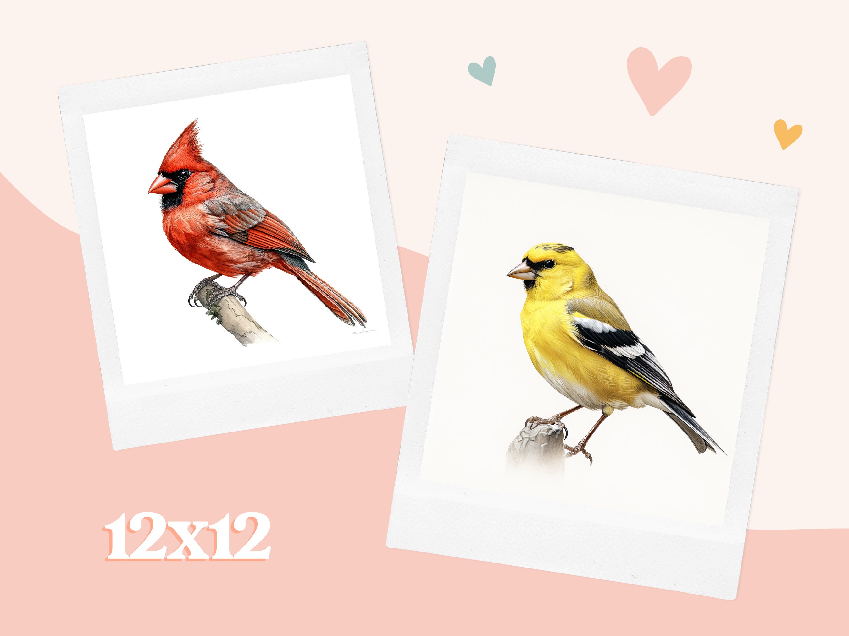 Watercolor Birds Clipart Bundle Spring Birds Clipart Birds - Etsy