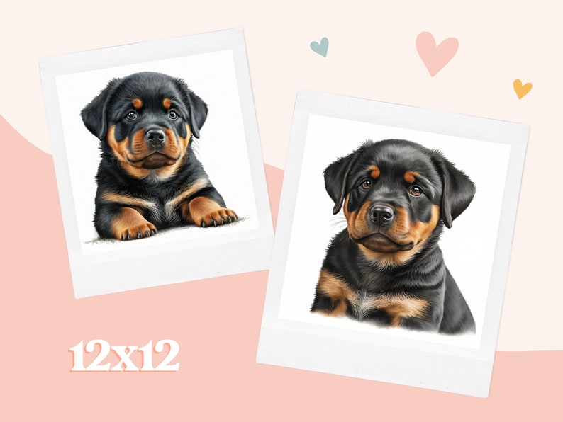 Rottweiler Clipart Dog PNG Rottweiler Puppy Clipart Cute - Etsy
