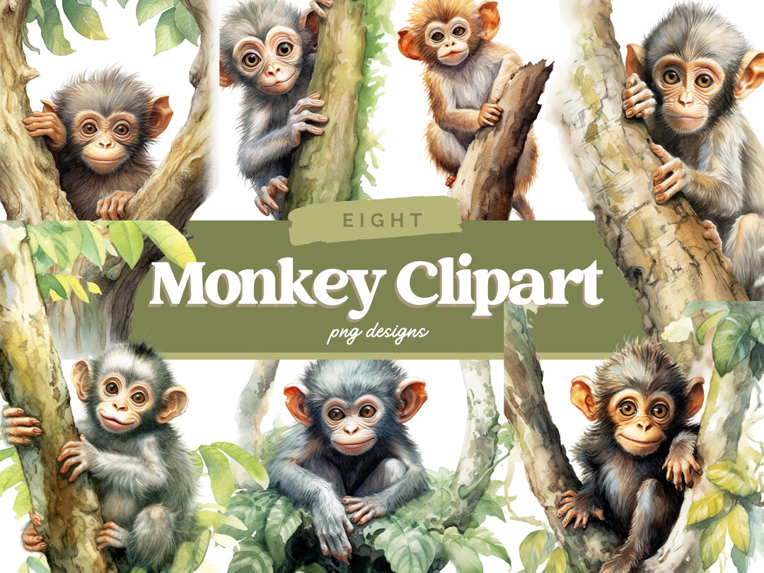Watercolor Monkey Clipart, Monkey PNG, Watercolor Monkey in a Tree PNG ...