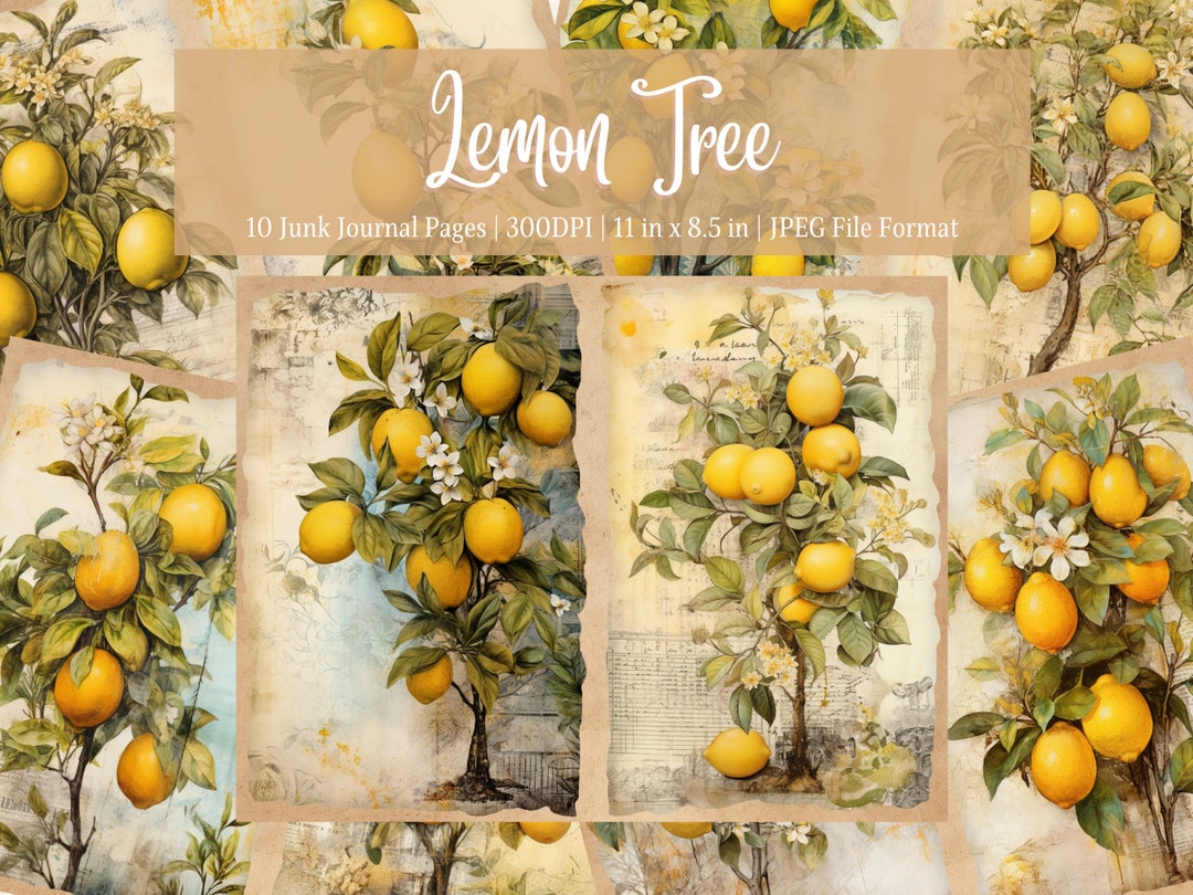 Lemon Tree Junk Journal Pages, Digital Scrapbook Paper Kit, Fruit ...