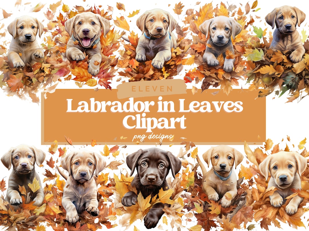 Watercolor Labrador in Leaves PNG Clipart, Autumn Labrador Clipart ...