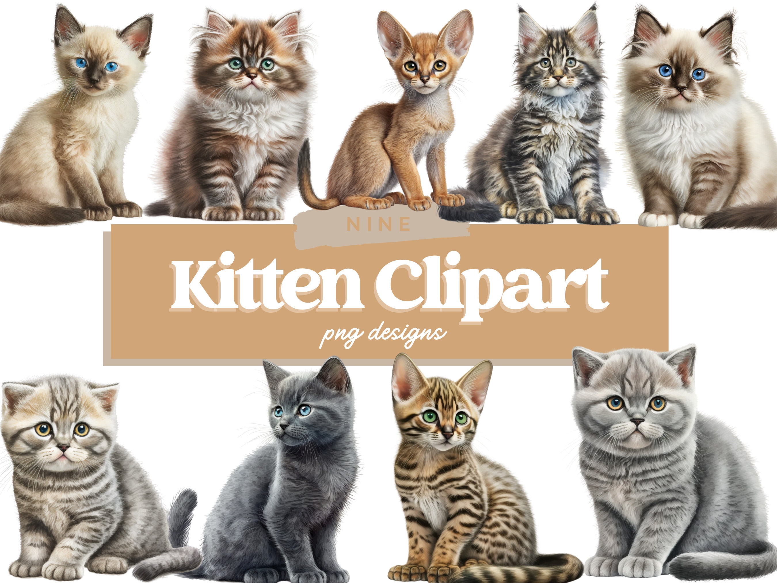 Kitten Clipart Fairytale Cat Clipart Fantasy Kitten - Etsy