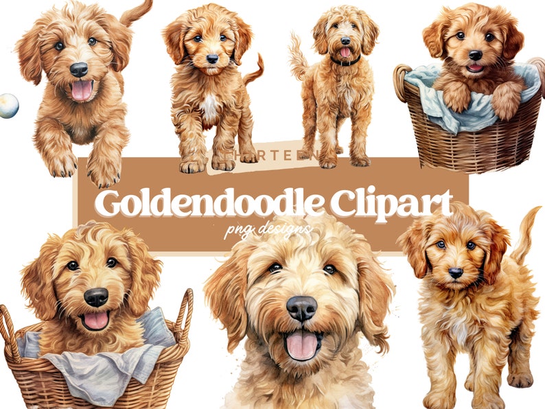 Goldendoodle Clipart, Dog PNG, Golden Doodle PNG, Cute Dog Clipart ...