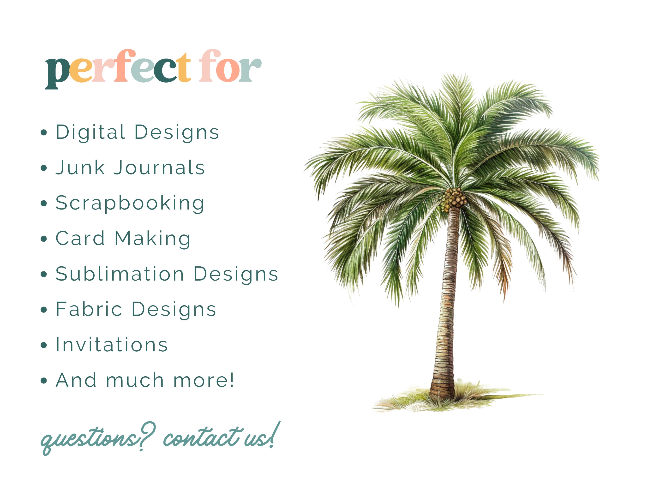 Watercolor Palm Tree PNG Clipart Bundle, Tropical PNG, Commercial Use ...