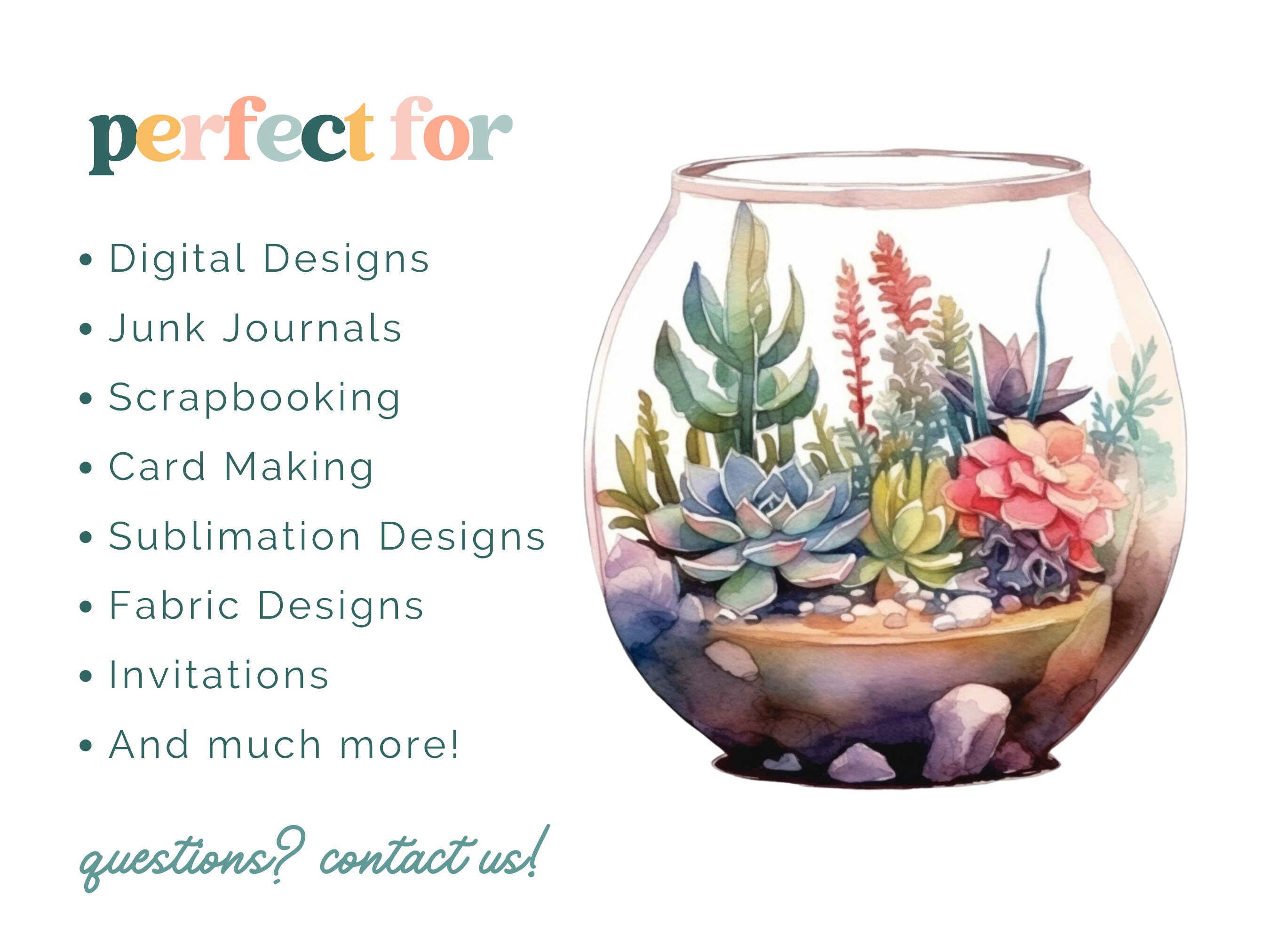 Watercolor Terrarium Clipart Bundle, Succulent PNG, Watercolor Clipart ...