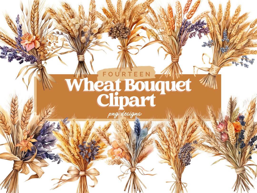 Watercolor Wheat Bouquet Clipart Bundle, Wheat PNG, Wheat Sublimation ...