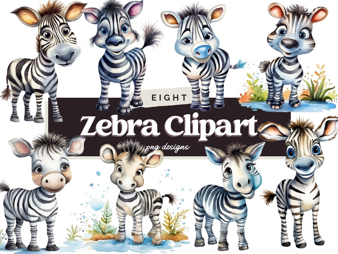 Zebra Watercolor Clipart Zebra PNG Cute Baby Shower - Etsy