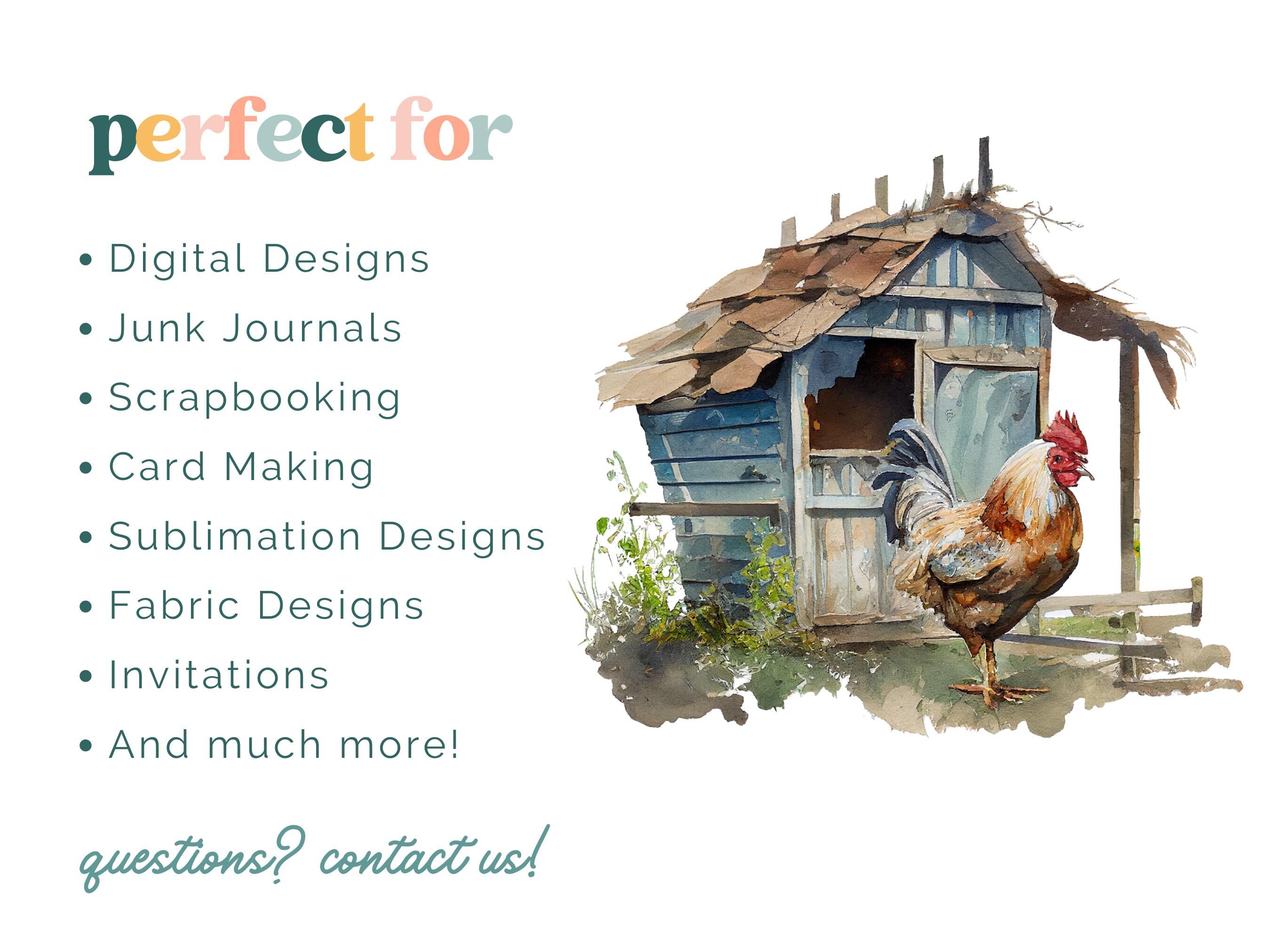 Chicken Animal Clipart Watercolor Chicken Clipart Chicken - Etsy