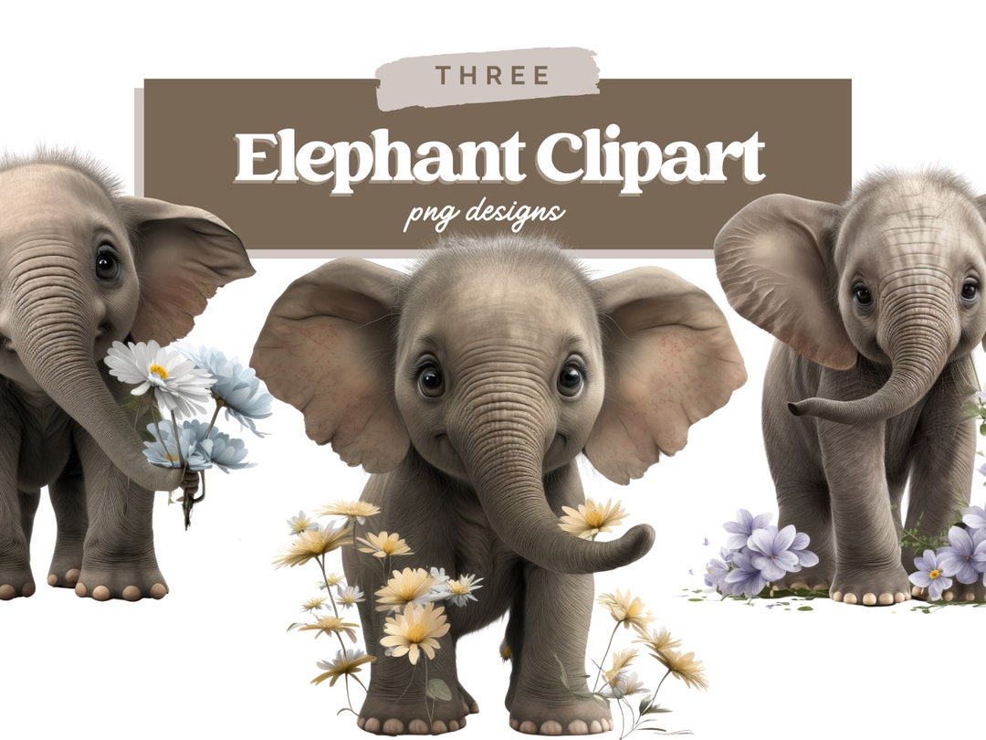 Baby Elephant PNG, Baby Animals Clipart, Watercolor Elephant Clipart ...