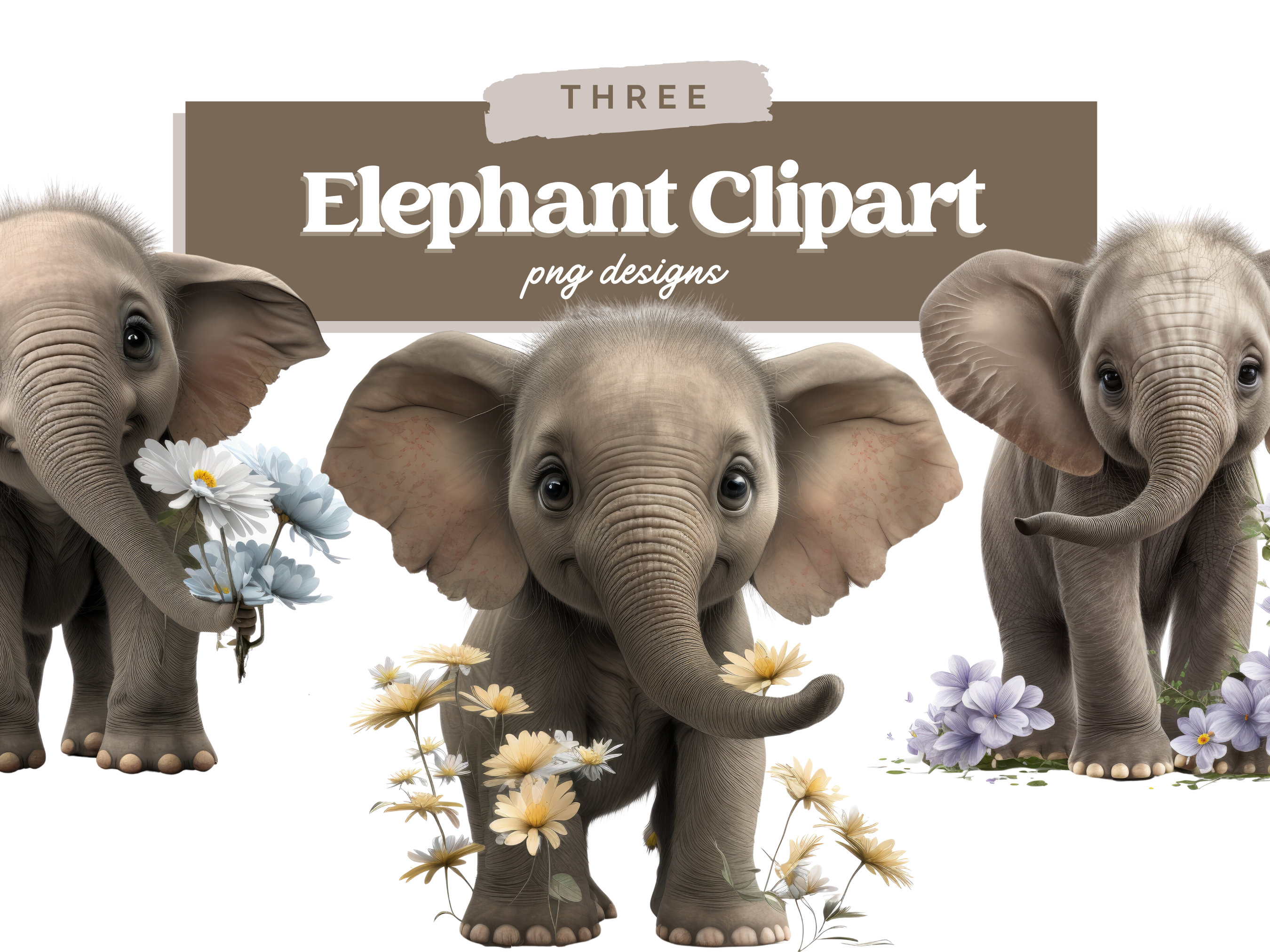 Baby Elephant PNG Baby Animals Clipart Watercolor Elephant - Etsy