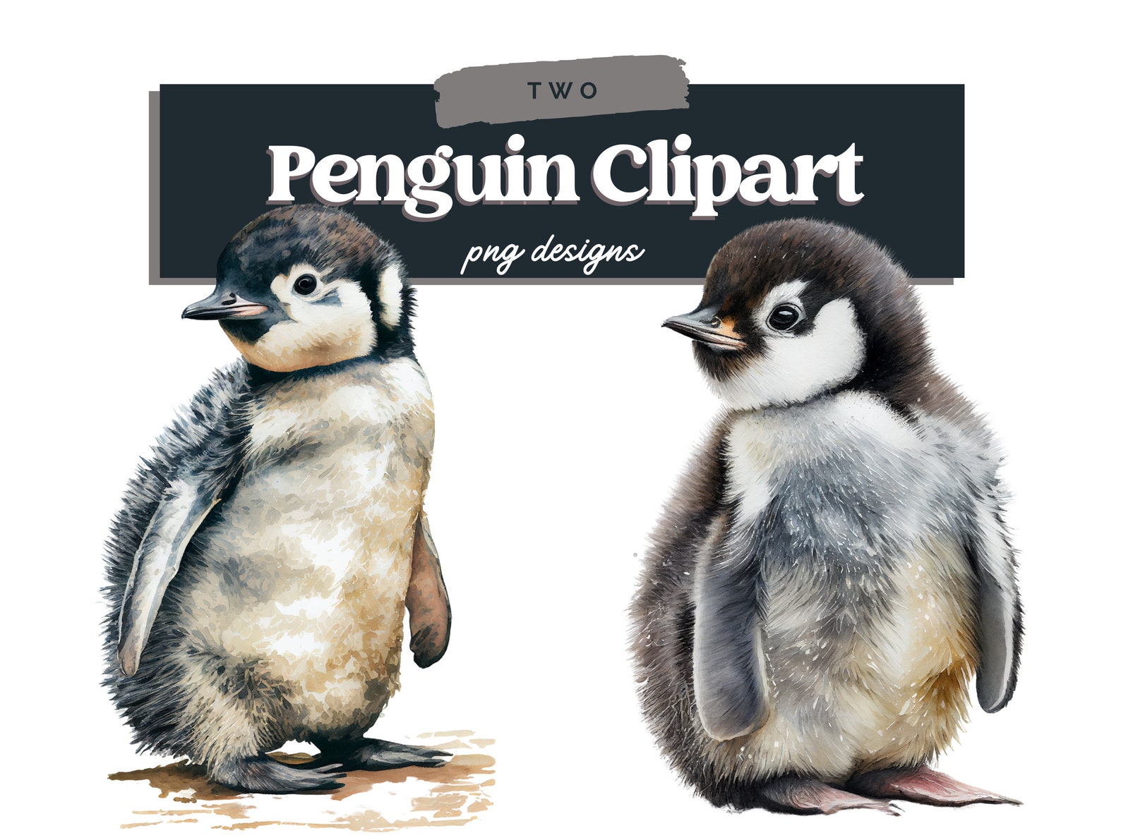 Watercolor Penguin Clipart, Penguin Clipart PNG, Penguin Clipart Bundle ...