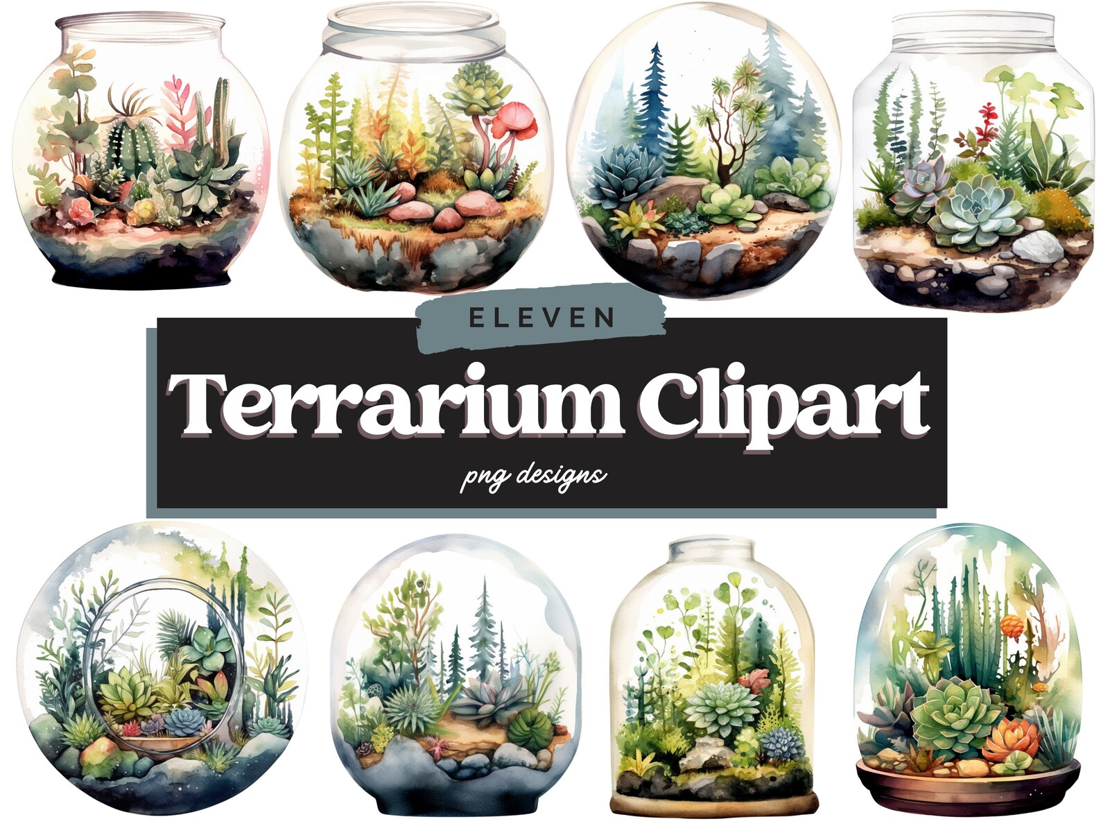 Watercolor Terrarium Clipart Bundle, Succulent PNG, Watercolor Clipart ...