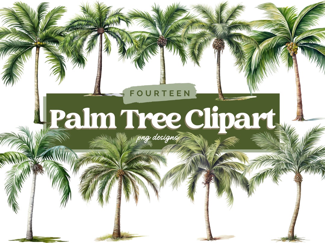 Watercolor Palm Tree PNG Clipart Bundle, Tropical PNG, Commercial Use ...