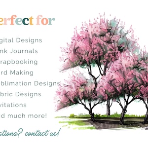Watercolor Cherry Blossom Tree Clipart, Cherry Blossom Tree Clipart PNG ...