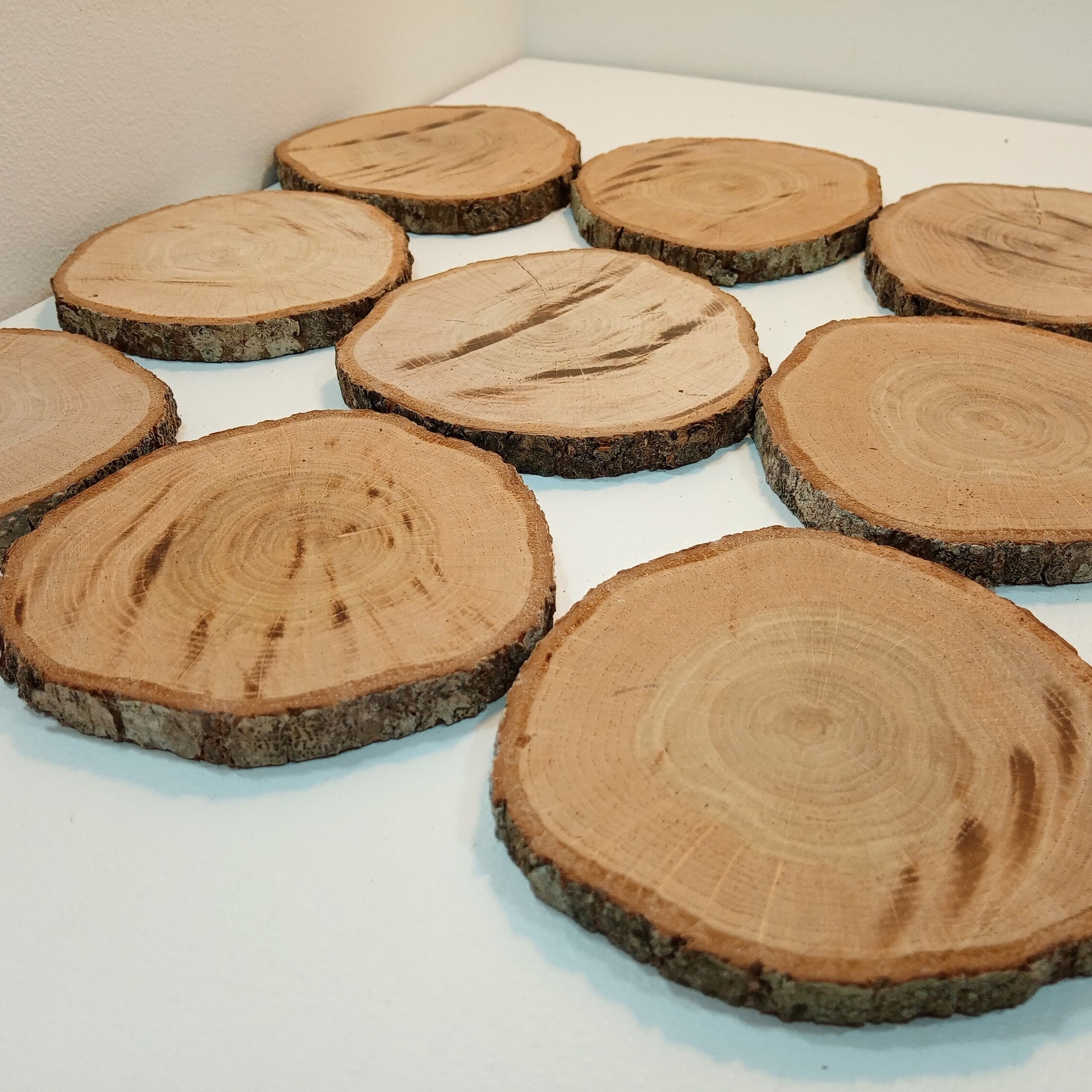 10 Wood Slices Oak Tree Disc Wood Rings Wood Discs Rustic Wood Slices ...