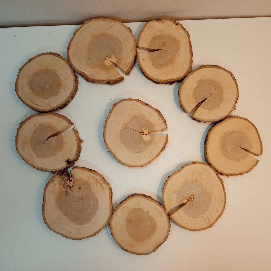 Wood Slices Lilac Tree Disc Wood Rings Wood Discs Rustic Wood Slices ...