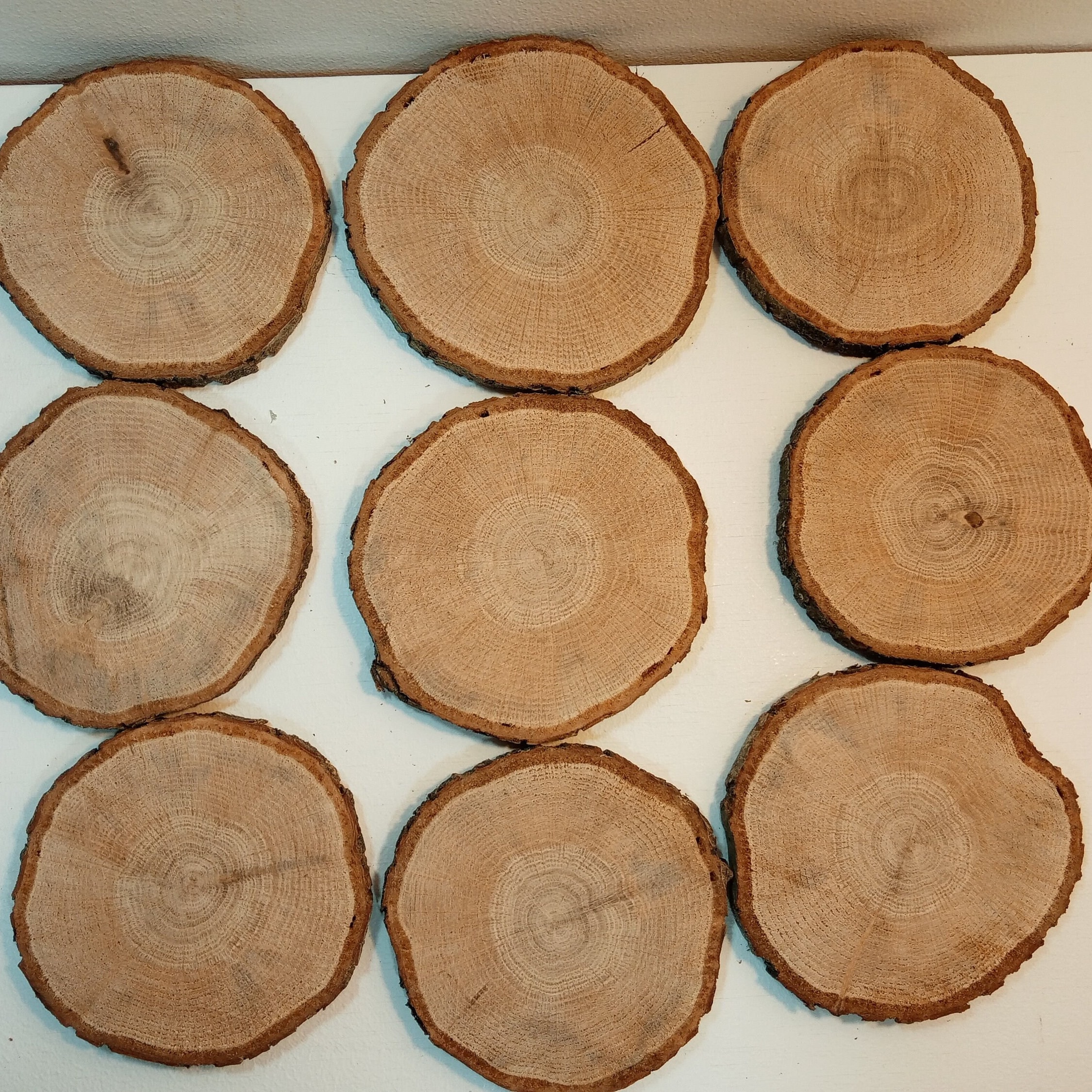 10 Pieces Wood Slices Oak Tree Disc Wood Rings Wood Discs Rustic Wood ...