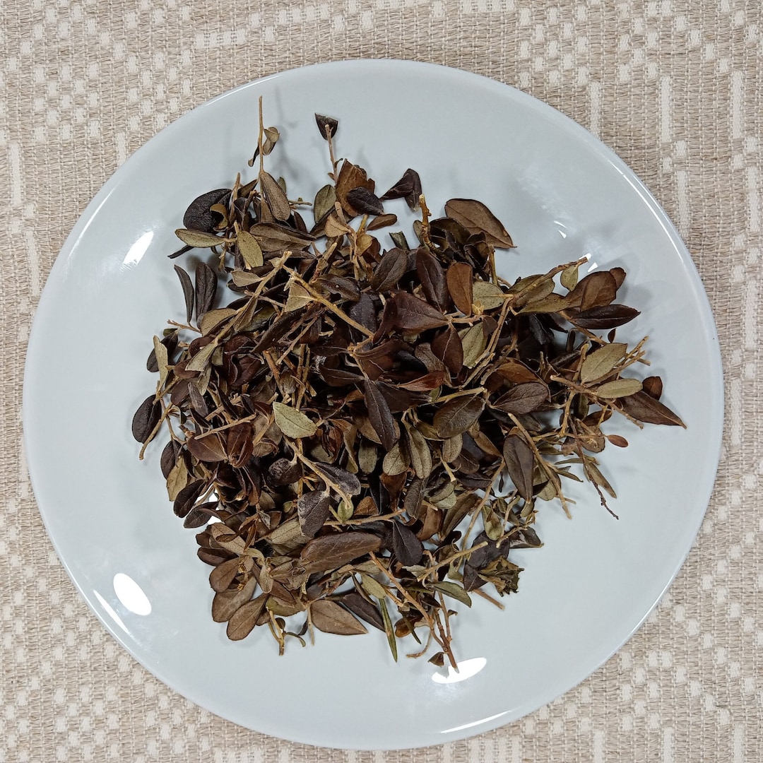 Lingonberry Lingonberry Plant Tea Vaccinium Vitis-idaea - Etsy