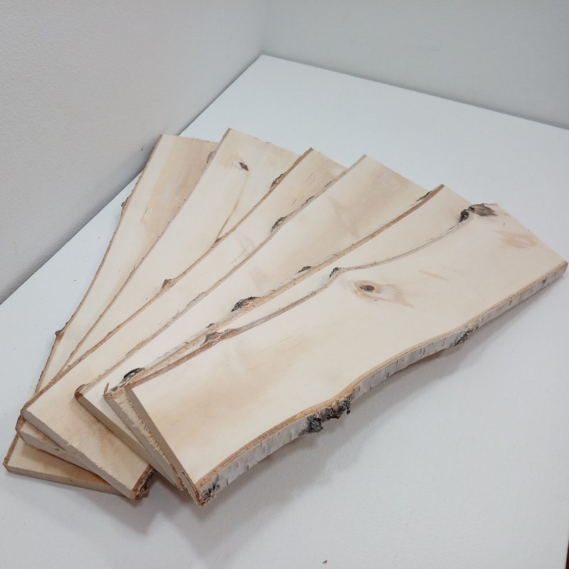 Birch Wood - Etsy