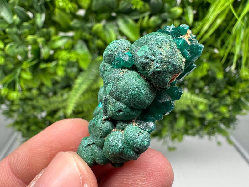 Stunning Green Dioptase From Sanda Hills,mindouli,pool Department ...