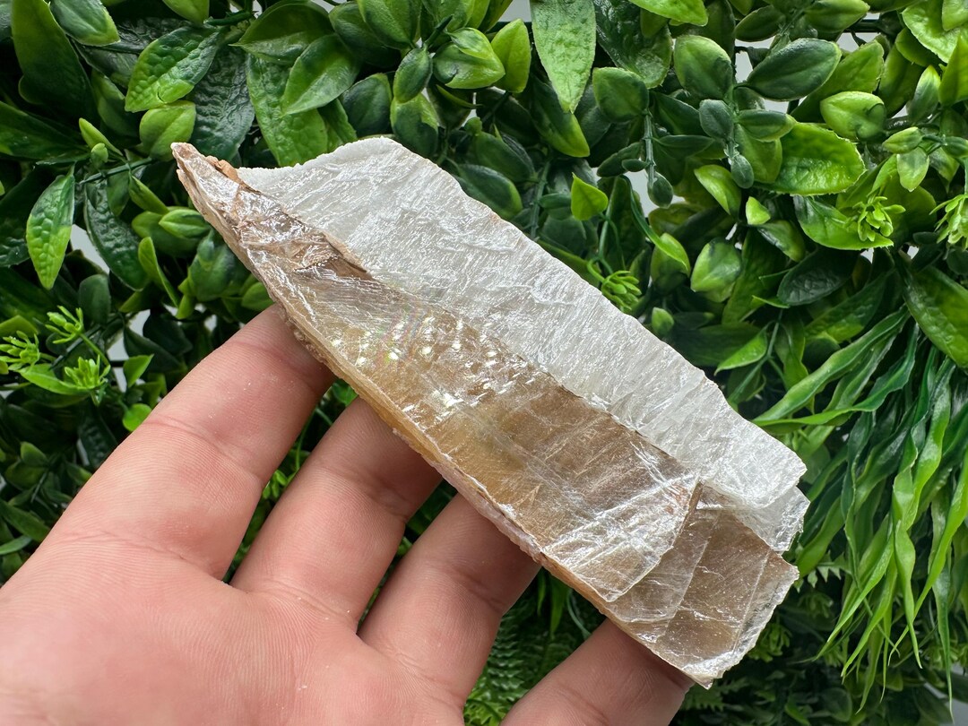 Golden Phantom Selenite Slab: Raw Utah Fishtail Selenite Wand - Etsy