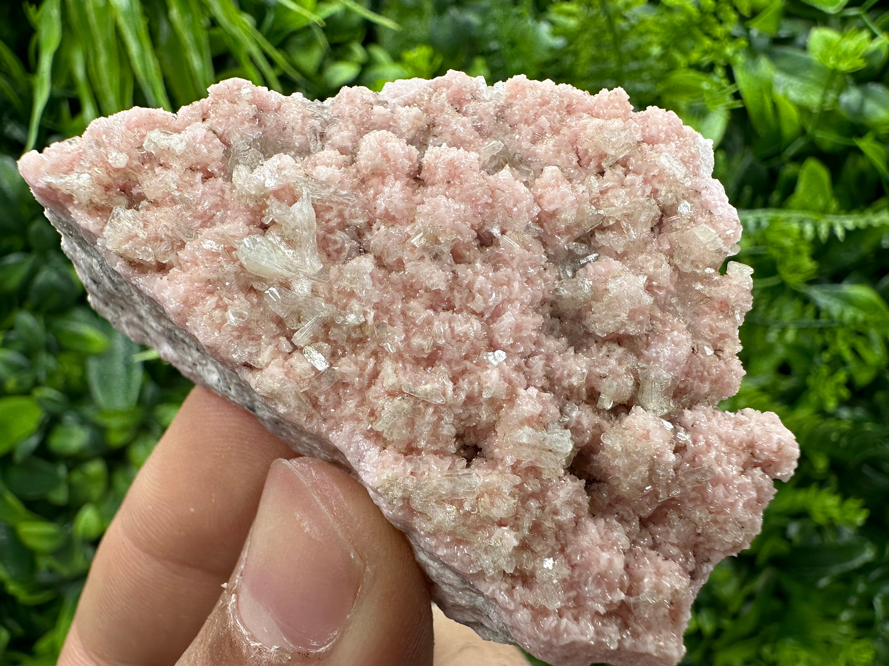 One Beautiful Cabinet Size Specimen of Rhodochrosite, Overgrowth by ...
