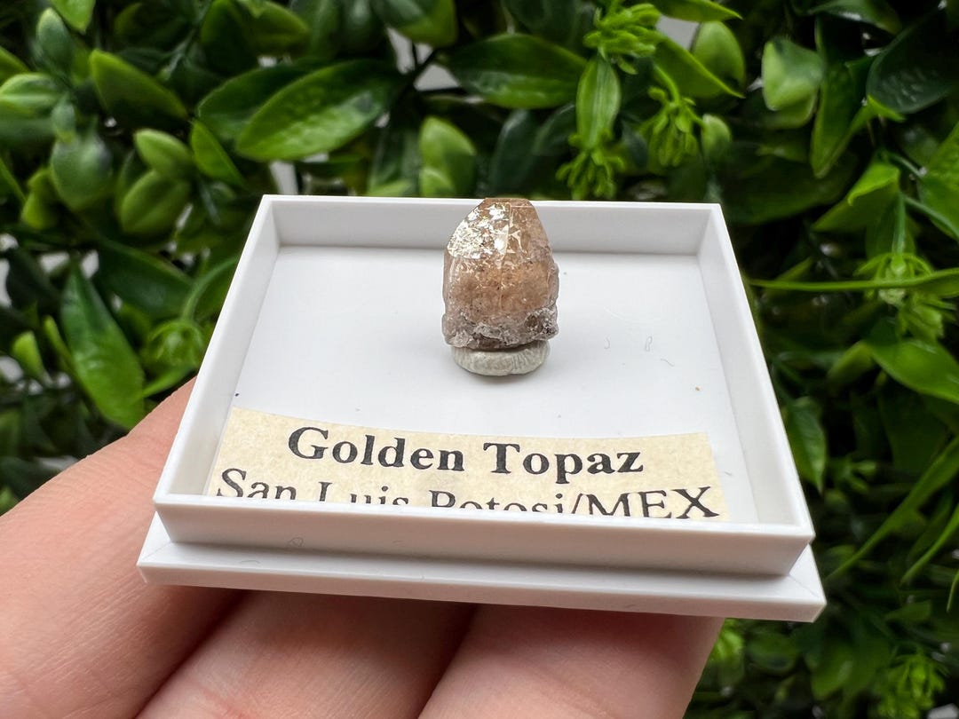 Beautiful Golden Topaz From Mexico,collection Piece Crystal,mineral ...
