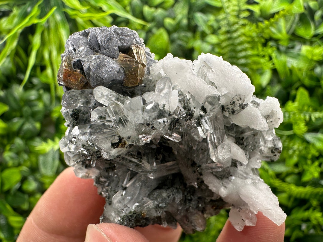 Wonderful Skeletal Galena,pyrite,calcite fluorescent on Transparent ...