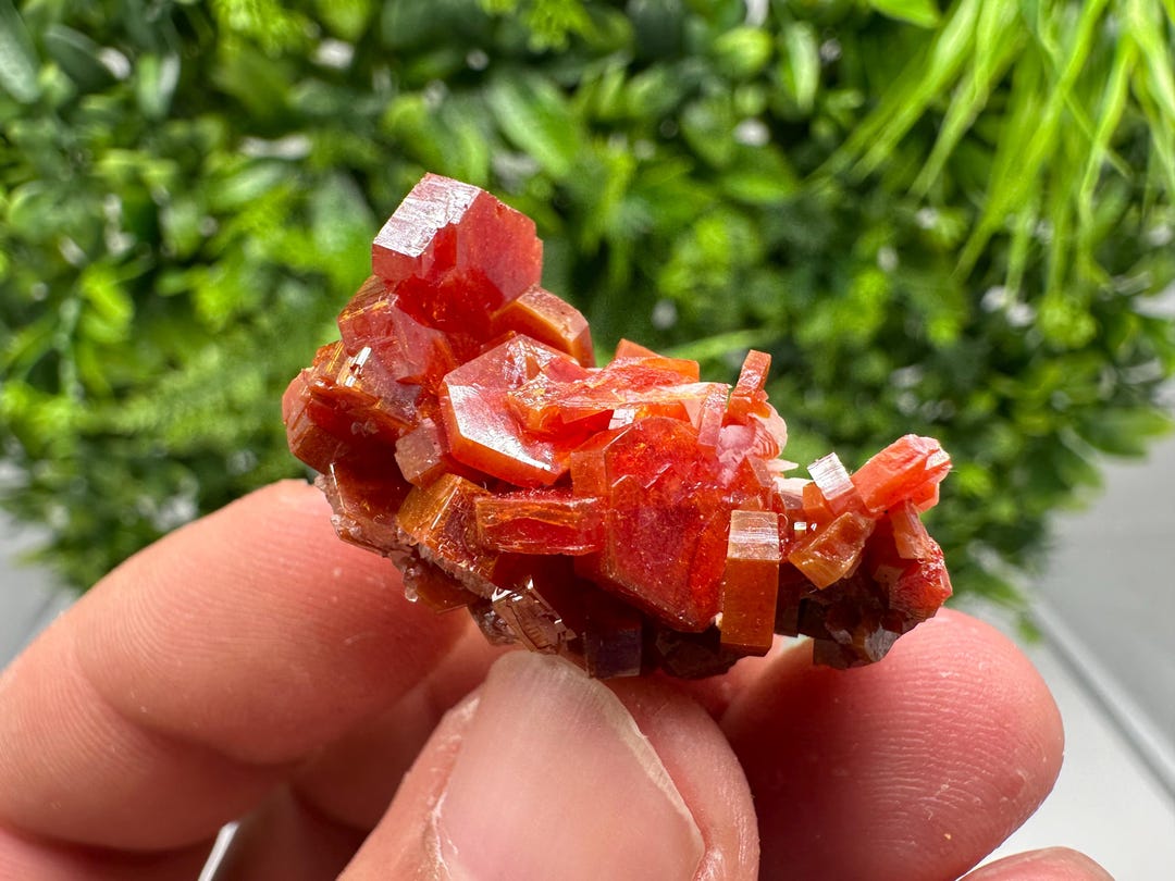 Red Vanadinite on Barite From Marocco,crystal Minerals Speciment ...