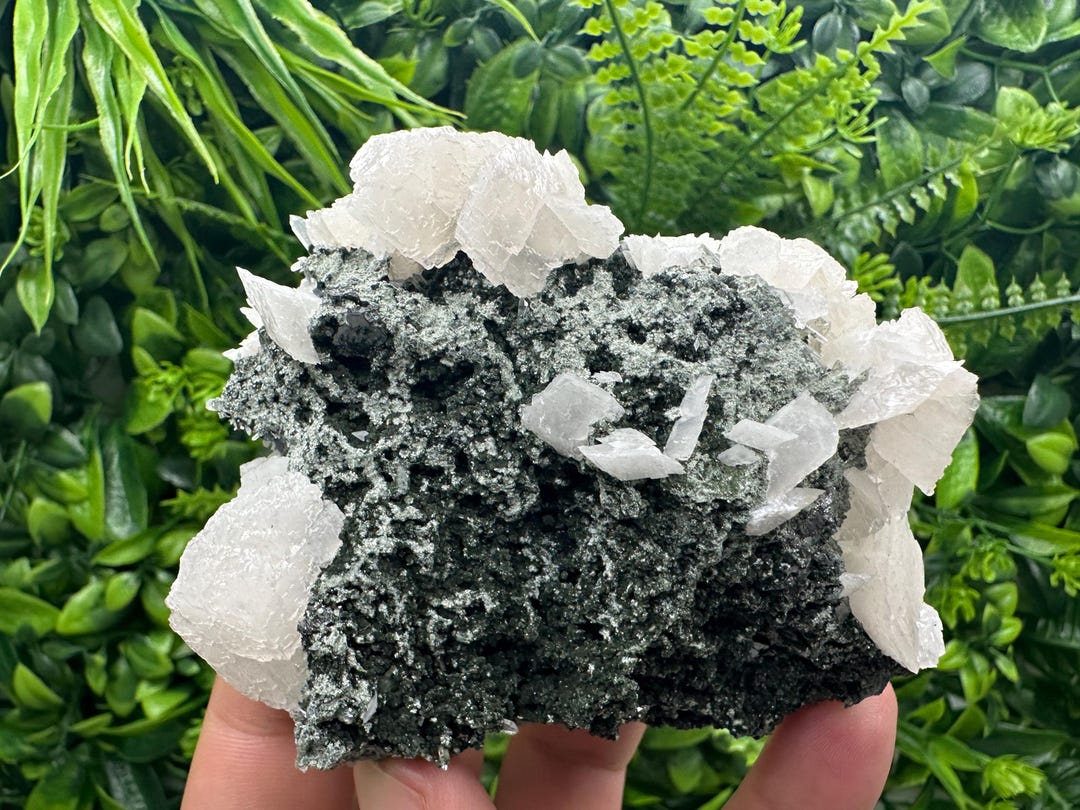Stunning Calcite Uv Reaction on Quartz Whit Chlorite,from Borieva Mine ...
