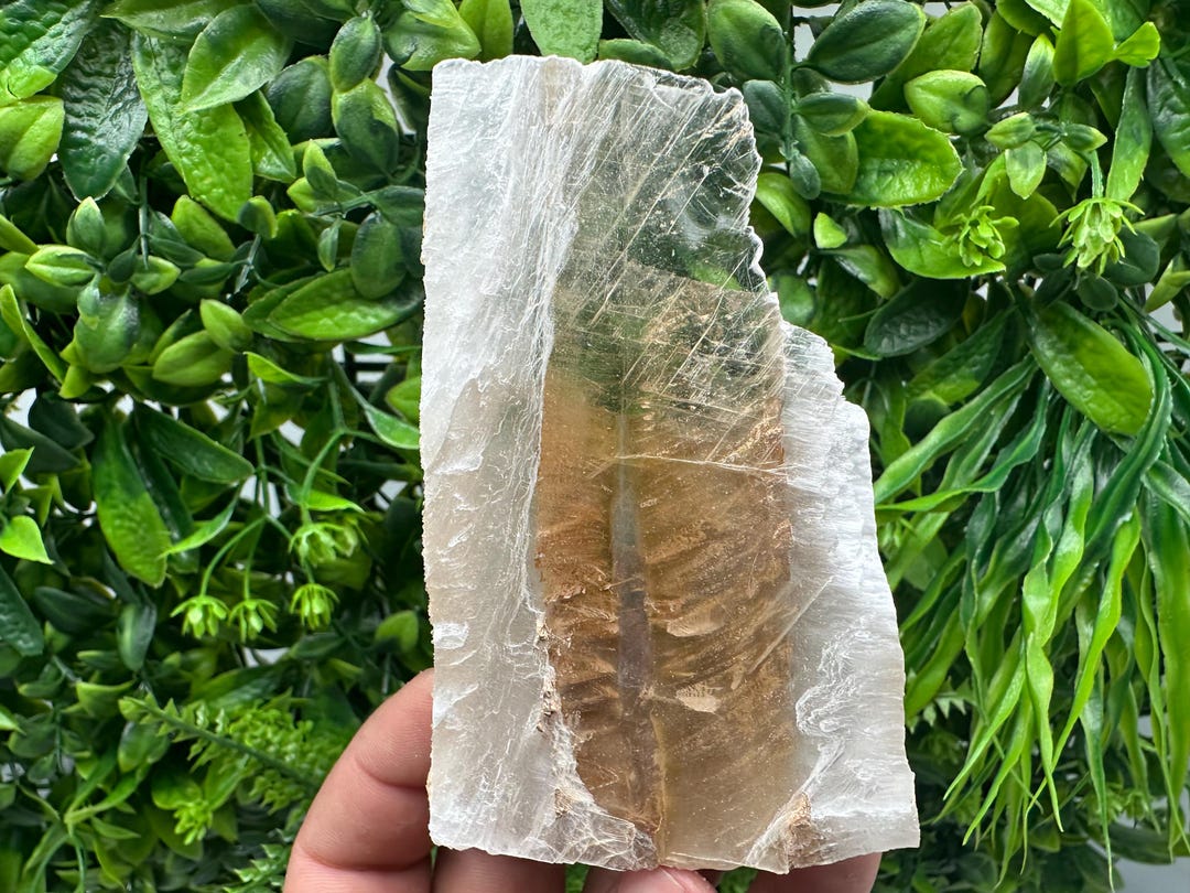 TOP QUALITY! Golden Phantom Selenite Slabs. Fishtail Selenite. Utah Raw ...