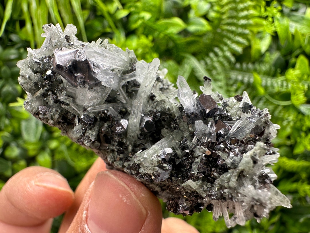 Stunning Shiny Galena Whit Sphalerite on Green Quartz Borieva Mime ...