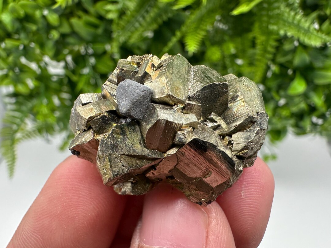 Rare Crystallisation Pyrite,borieva Mine,bulgaria,floating Pyrite ...