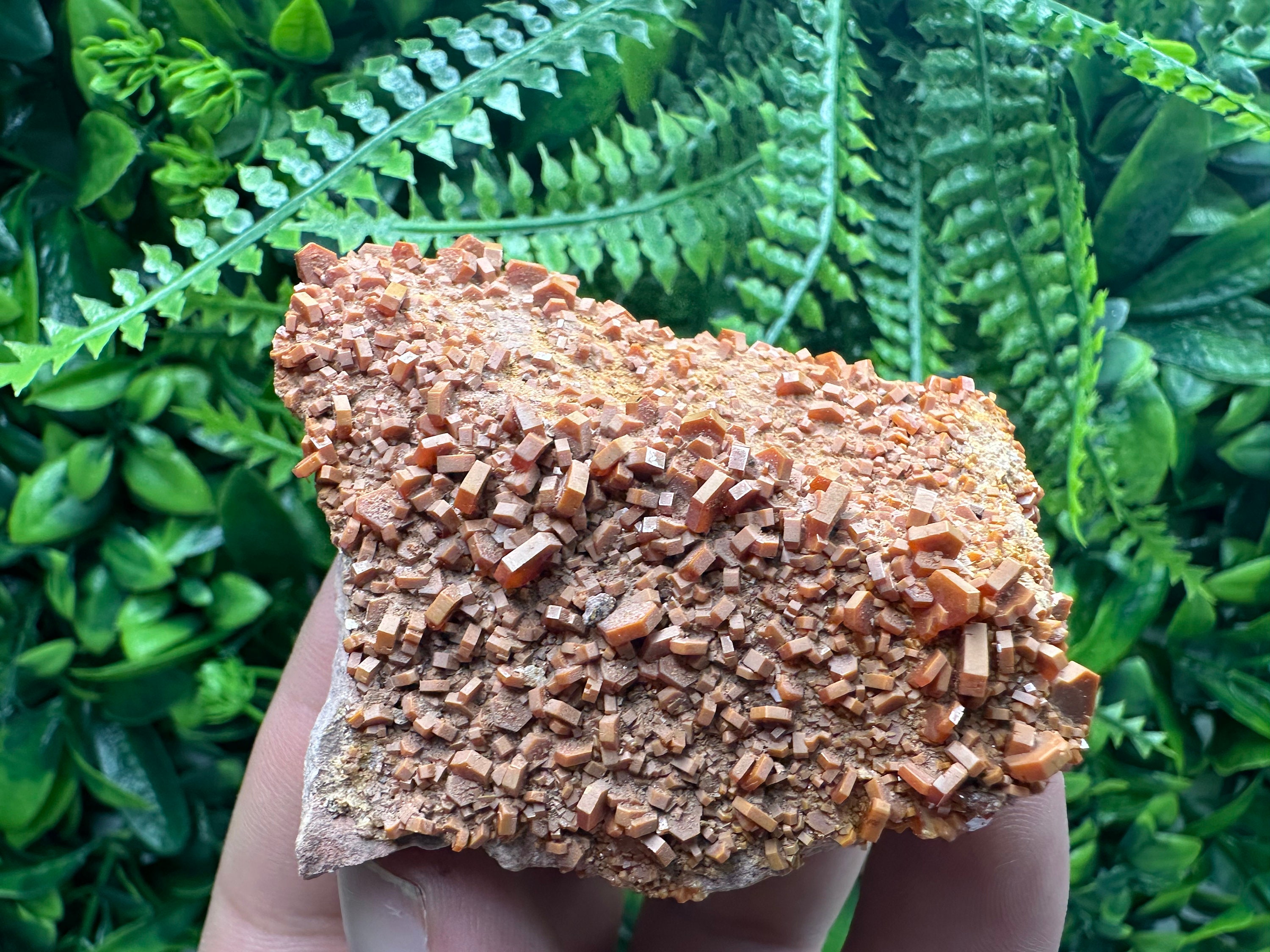 Red Vanadinite on Matrix From Marocco,crystal Minerals Speciment ...