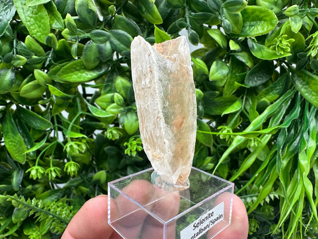 Raw Utah Golden Phantom Selenite Slab: Fishtail Selenite Wand - Etsy