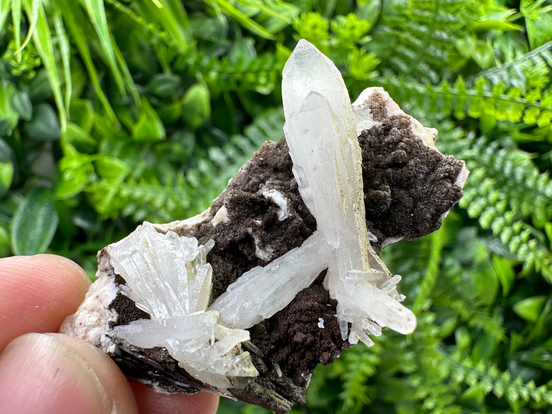 Stunning Quartz Whit Chlorite on Rhodochrosite Covered Whit Siderite ...