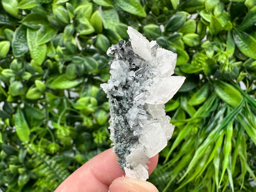 Quartz Calcite on Chlorite Matrix, Borieva Mine Mineral Specimen - Etsy