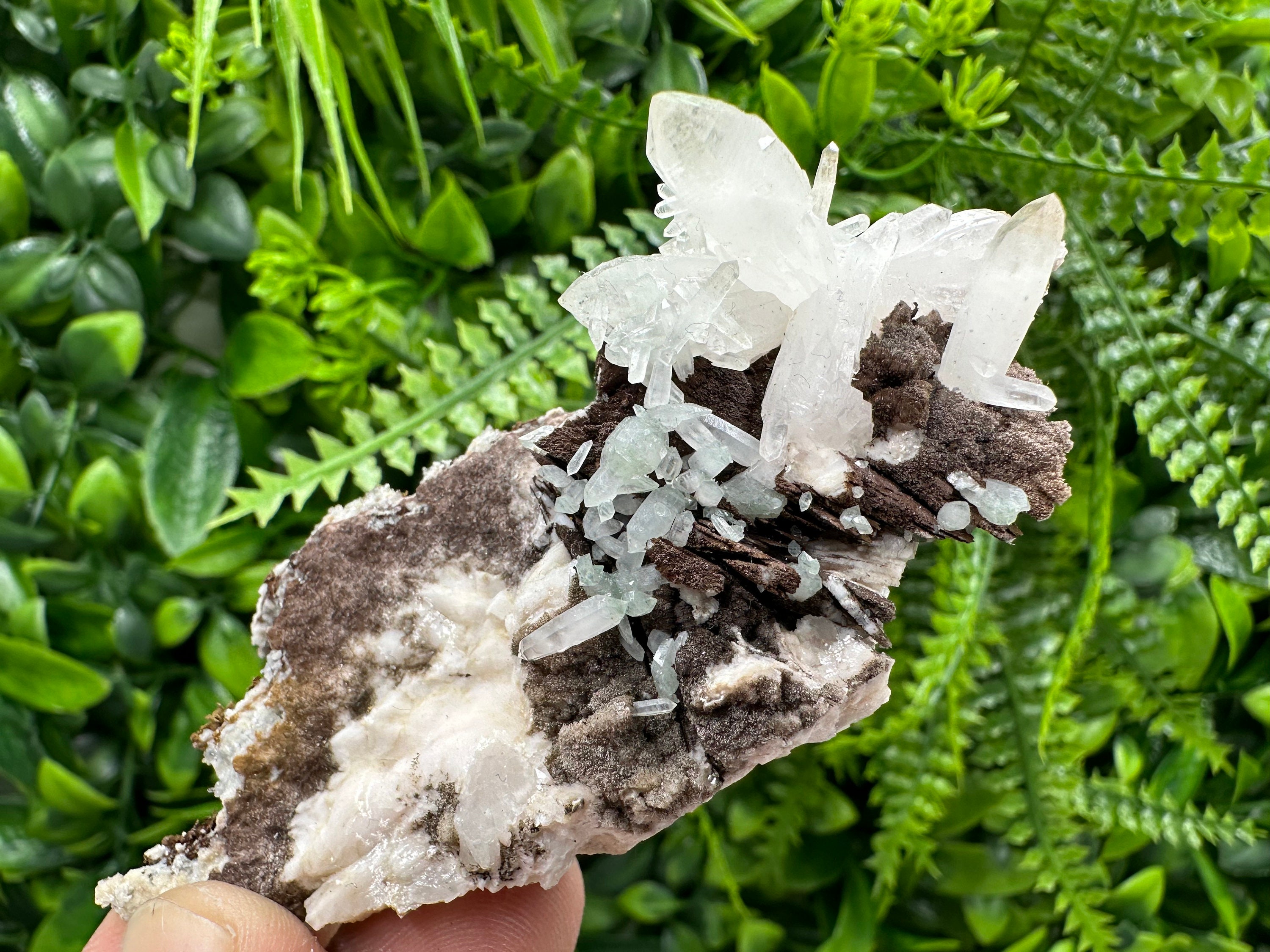 Stunning Quartz Whit Chlorite on Rhodochrosite Covered Whit Siderite ...