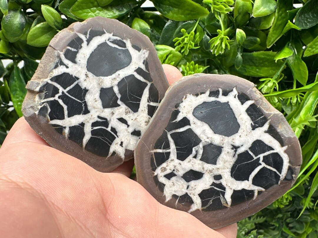 Dragonstones Pair, Septarian Nodule Geode, Septaria, Dragonstone ...