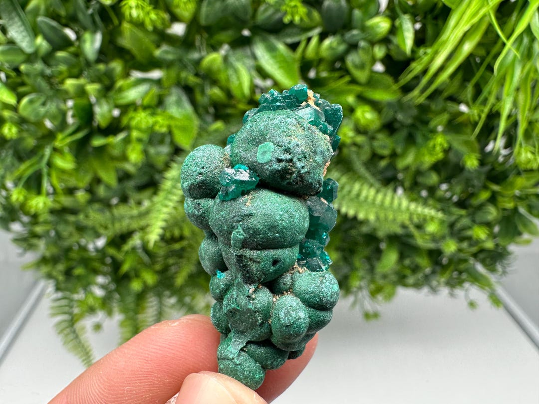 Stunning Green Dioptase From Sanda Hills,mindouli,pool Department ...