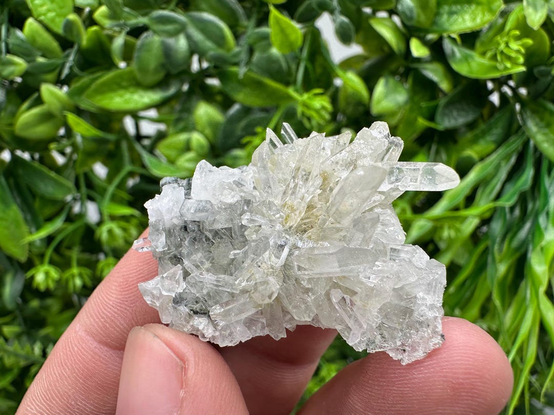 Transparent Quartz on Chlorite Matrix, Borieva Mine Mineral Specimen - Etsy