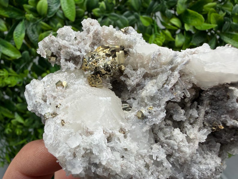 Stunning Pyrite on Quartz,calcite From Borieva Mine,madan,bulgaria ...
