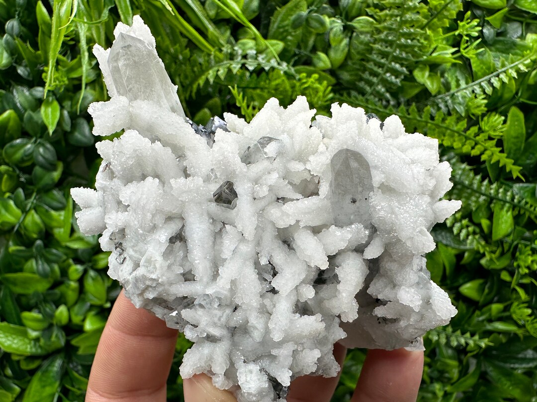 Stunning Uv Fluorescent Calcite,galena on Transparent Quartz Natural ...