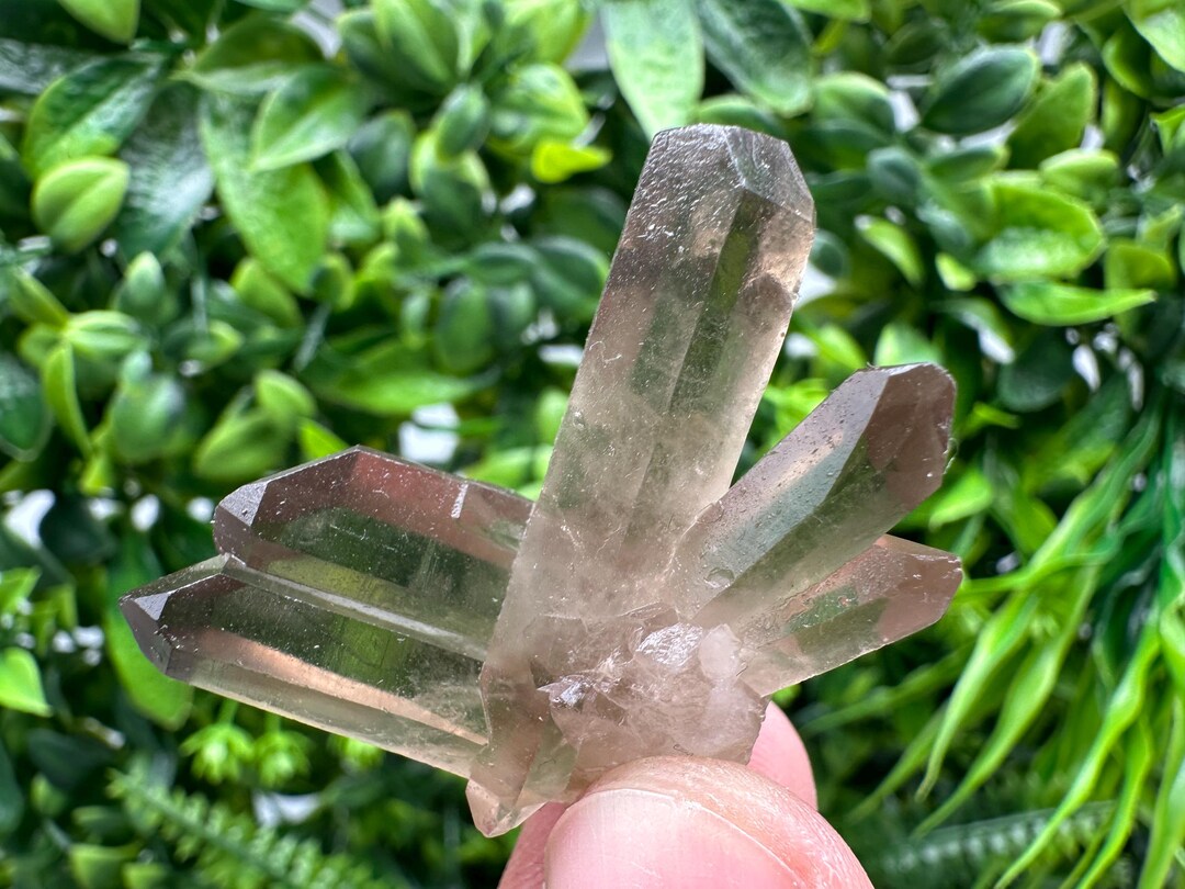 Rare Smoky Quartz,mineral Specimen,collection Crystal,minerals,smoky ...