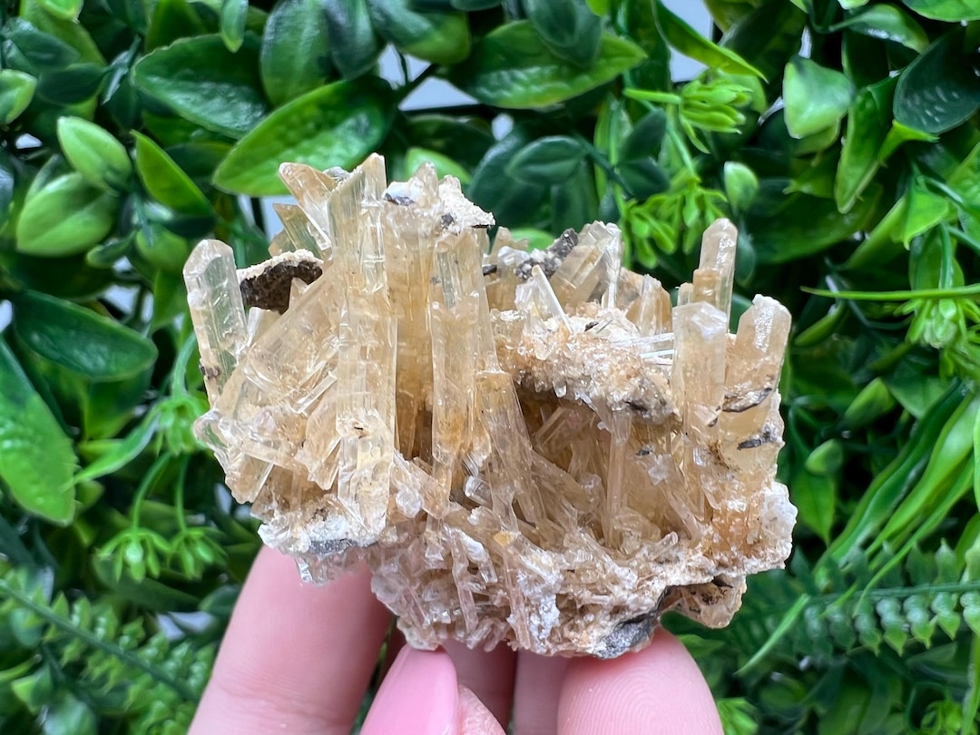 Stunning Gypsum Var. Selenite,from Rudna Mine,poland,brown Gypsum ...