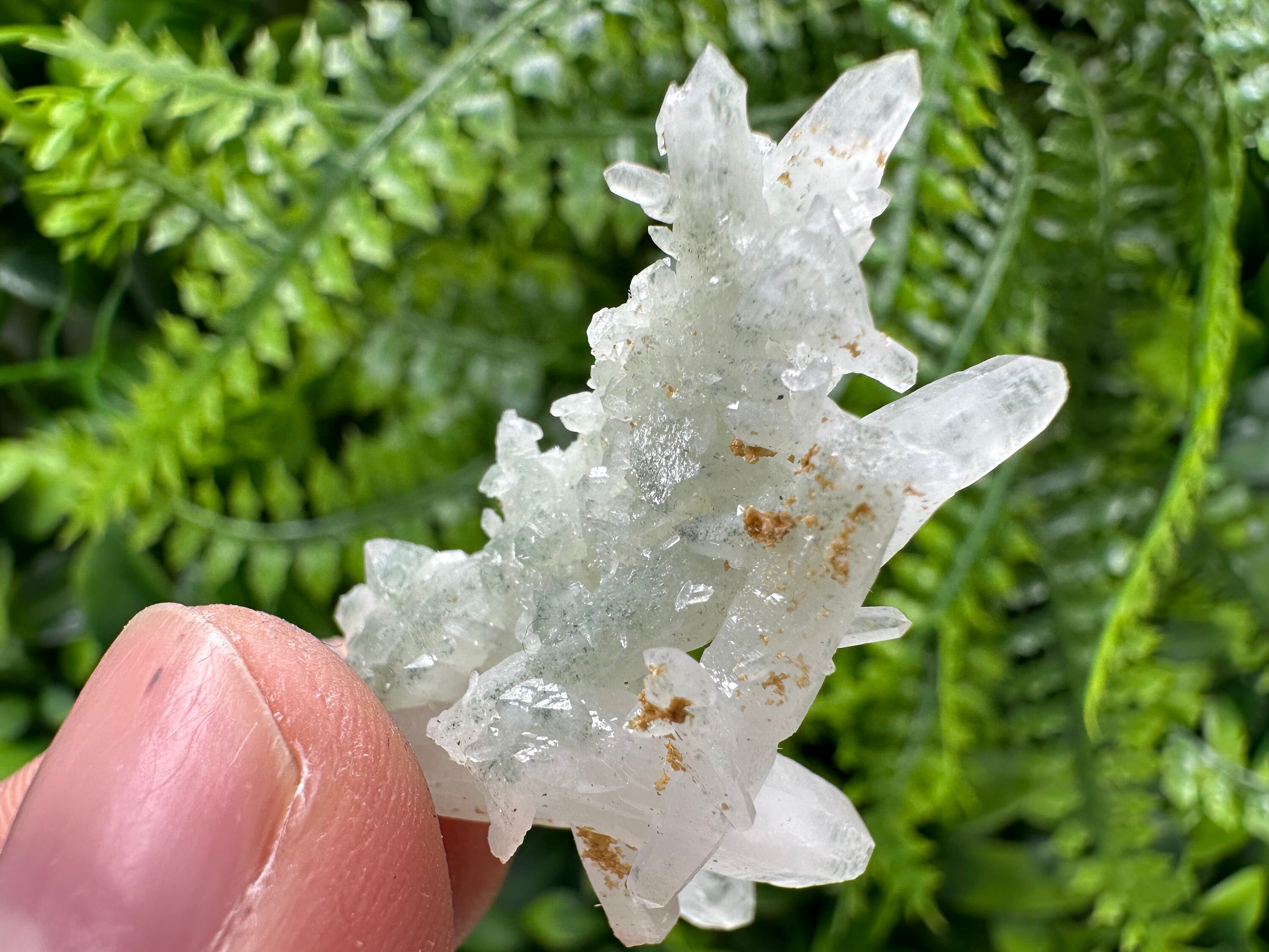Stunning Quartz Whit Chlorite Natural Minerals Souvenir Crystal Home ...