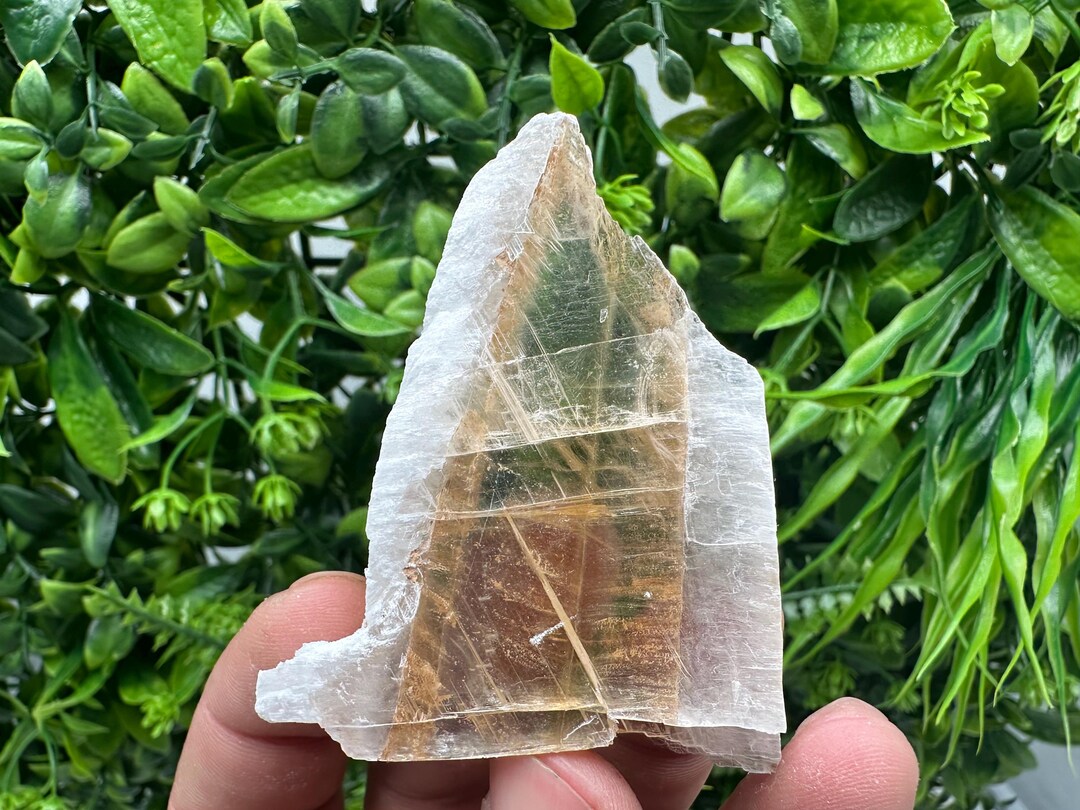 Golden Phantom Selenite Slab: Raw Utah Fishtail Selenite Wand - Etsy