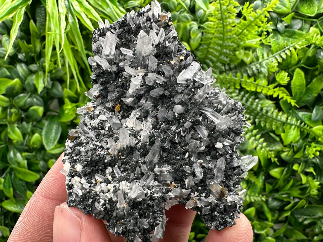 Wonderful Pyrite on Quartz Whit Chlorite Natural Minerals Souvenir ...